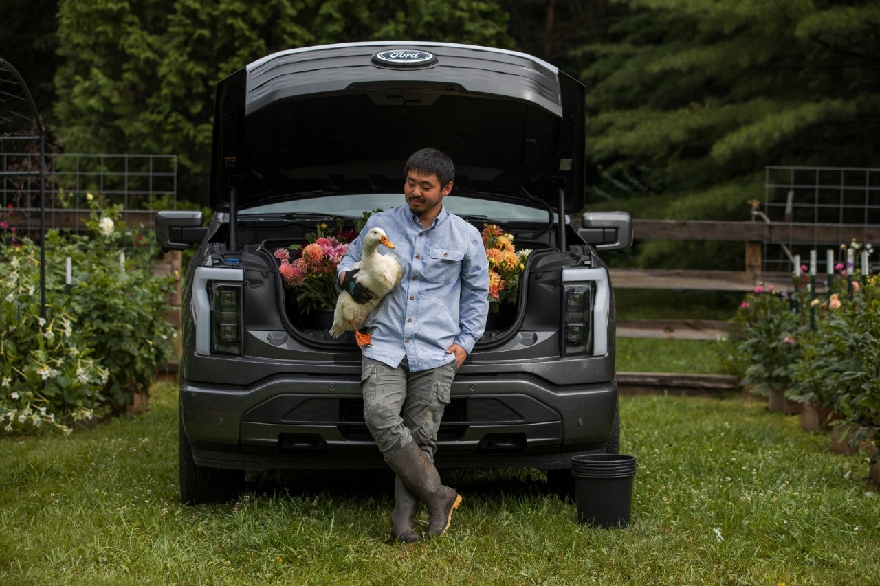 This Little Ducky Went Electric